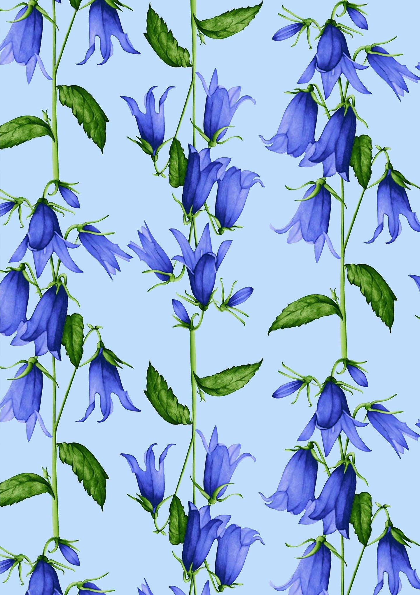 Blue Bell Flower Pastel