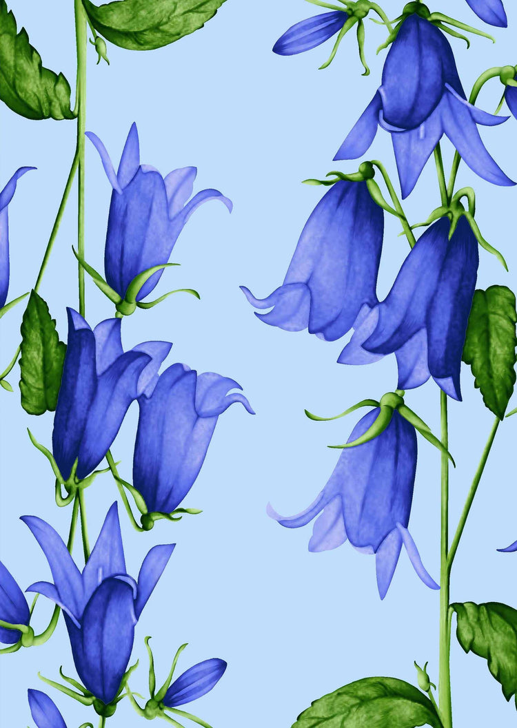 Blue Bell Flower Pastel